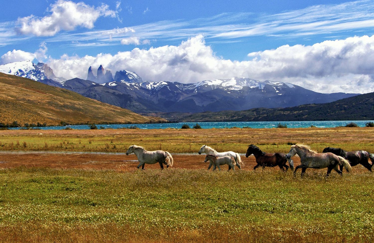Western Mongolia – Mongolia tours